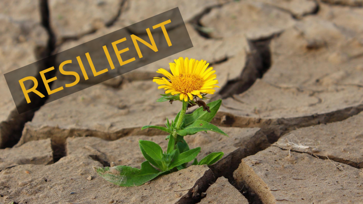 6 Things Resilient People Do - The Mental Health Toolbox