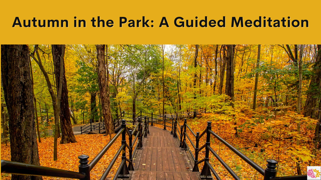 10-Minute Guided Meditation (528Hz) | Autumn In The Park - The Mental ...